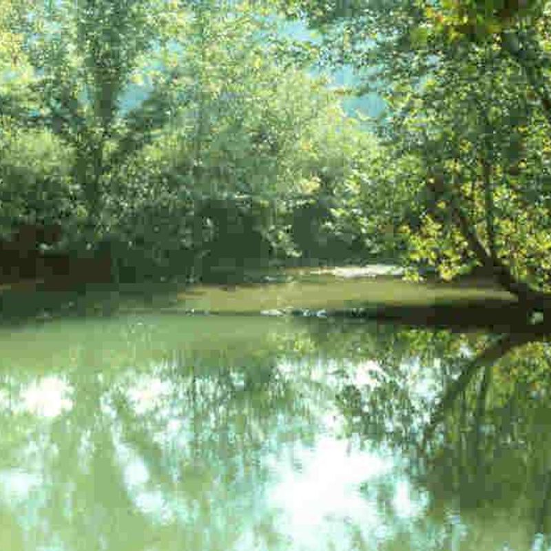 Harrison Spring - Natural spring in Harrison County, Indiana.
