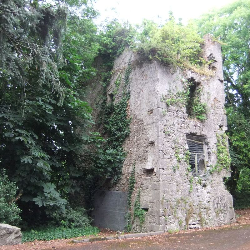 Dundanion Castle - Tudor tower house in Blackrock, Ireland