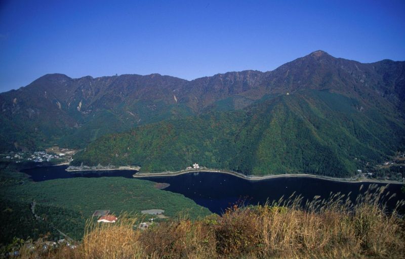 Aokigahara - Forêt près du Mont Fuji, Japon