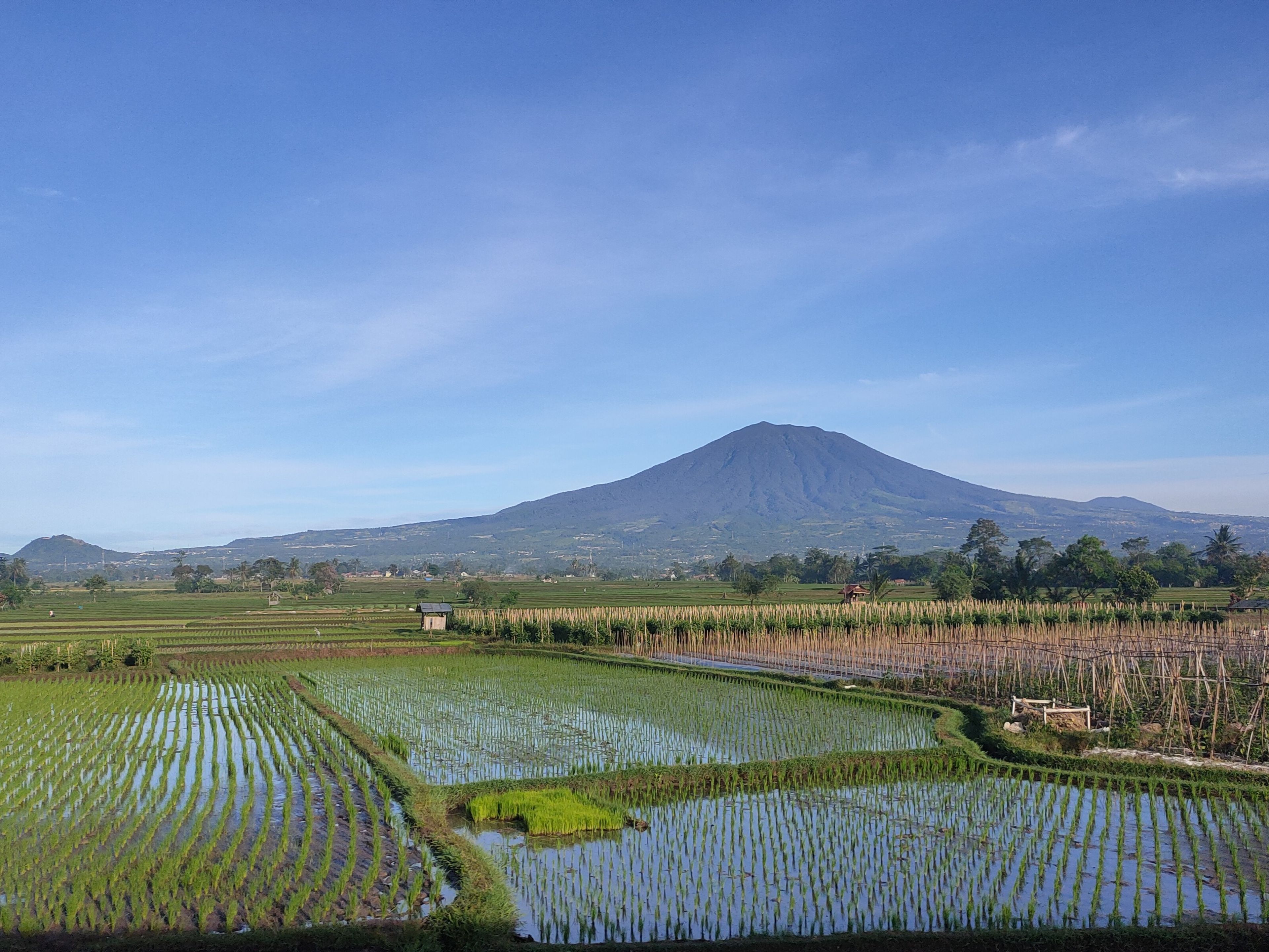 Mount Gede - Volcan actif à Java occidental, Indonésie