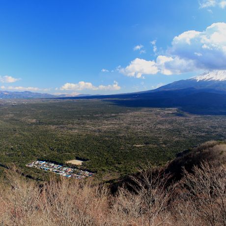 Aokigahara - Forêt près du Mont Fuji, Japon