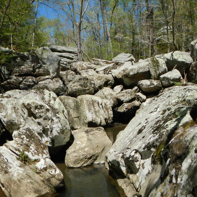 Dixon Springs State Park - Natural retreat in Pope County, Illinois