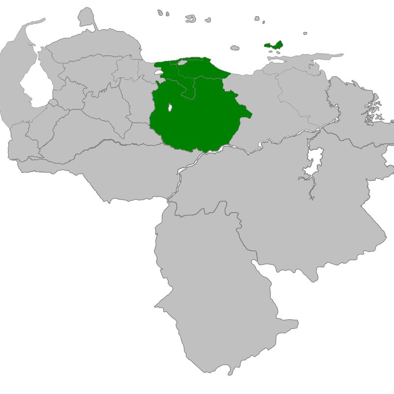 Estado Guzmán Blanco - Región histórica en el centro-norte de Venezuela.