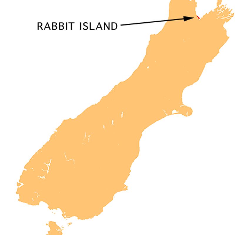 Moturoa / Rabbit Island - Île tidale dans la Baie de Tasman, Nouvelle ...
